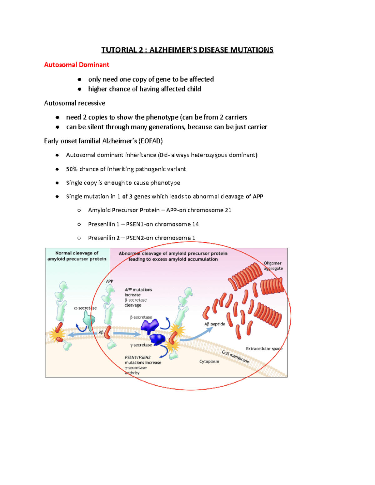 Copy of Tutorial 2 - Genetics - TUTORIAL 2 : ALZHEIMER’S DISEASE MUTATIONS Autosomal Dominant ...