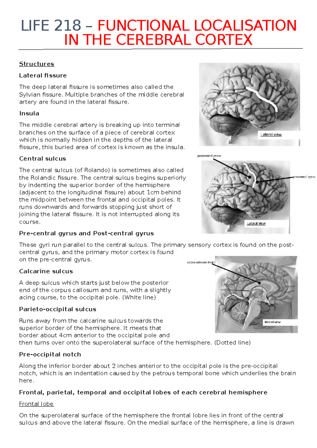 6. Functional localisation of the cerebral cortex - LIFE 218 ...