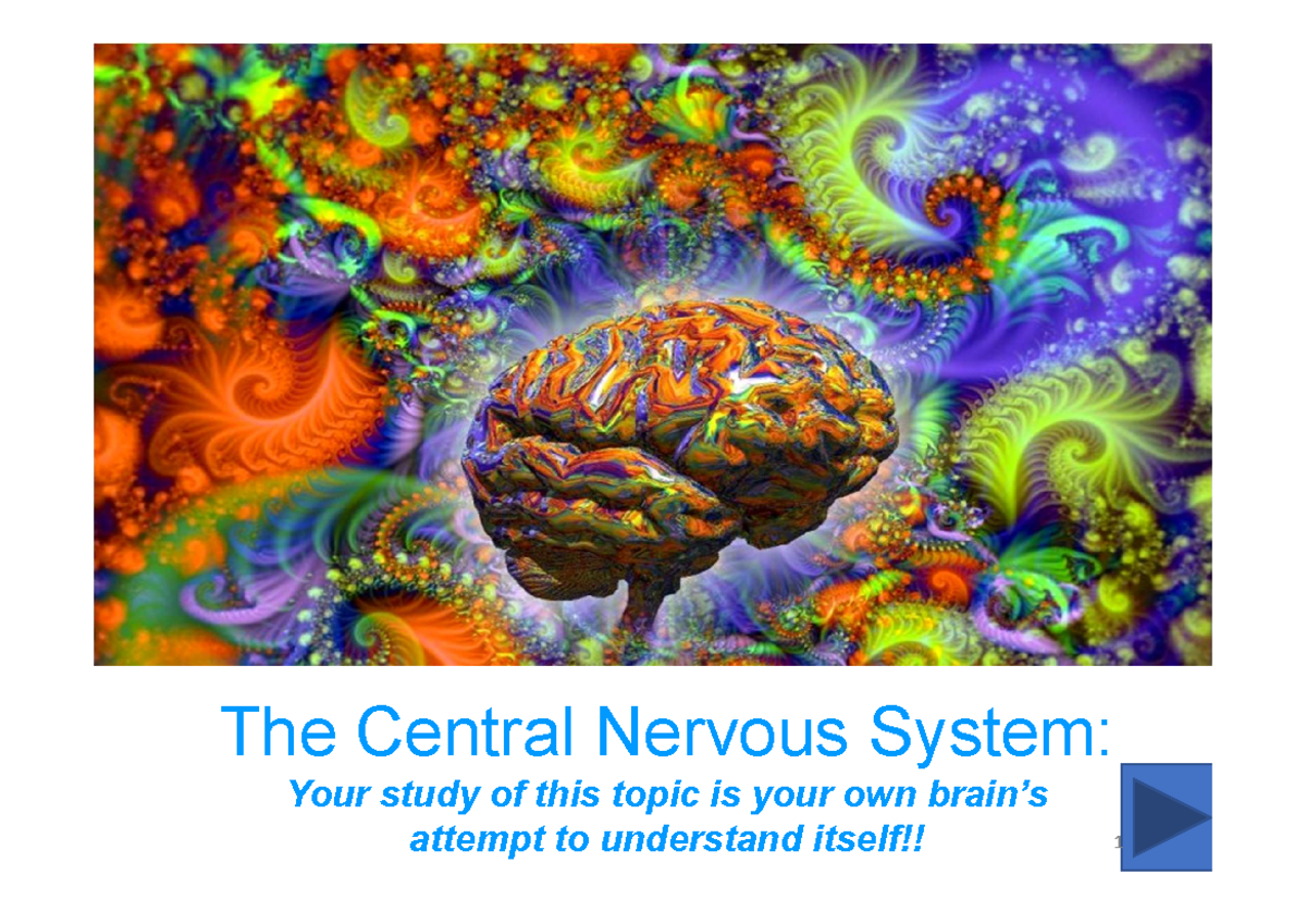 Module 3 Lecture 4 Topic 2 CNS II 2018 - Warning: TT: undefined function: 32 The Central Nervous ...