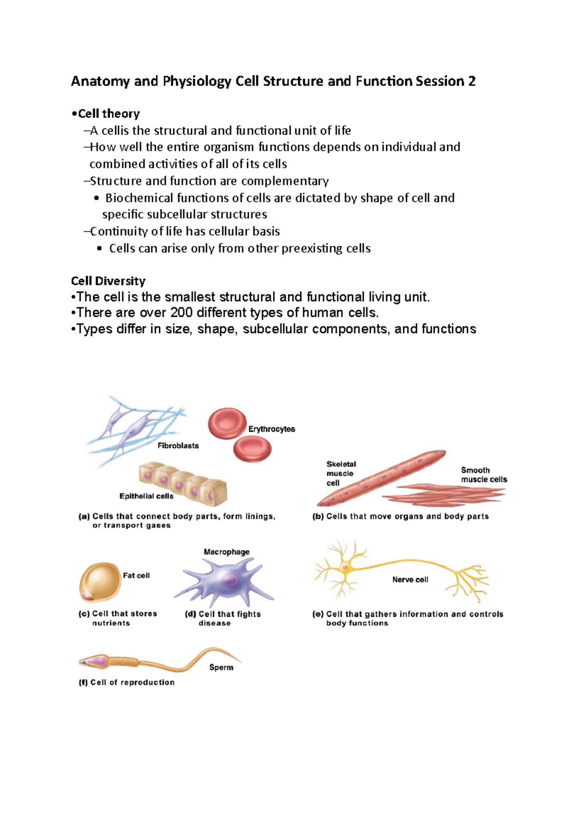 Cell Structure and fucntion part 1 - Anatomy and Physiology Cell ...