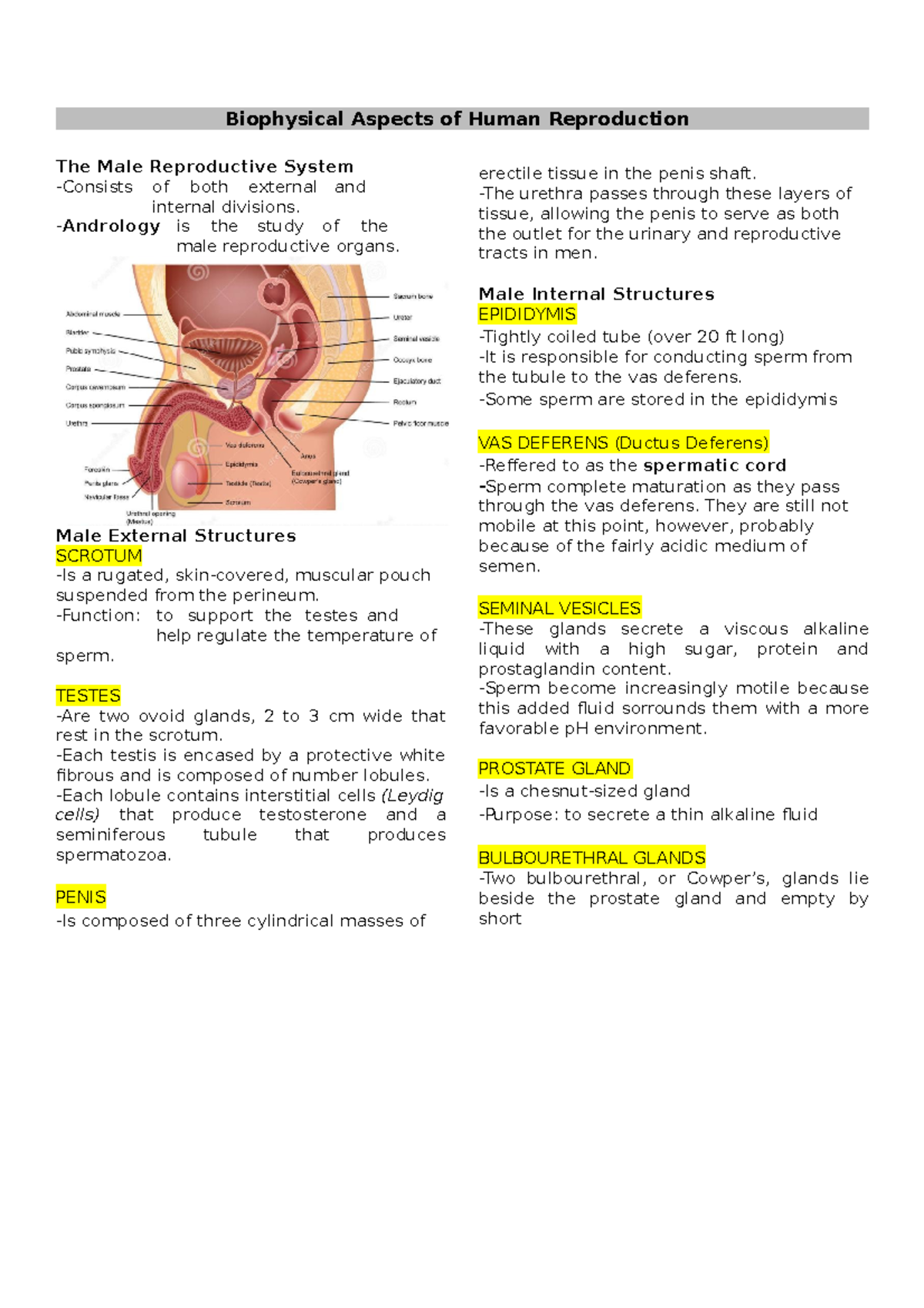 Maternal and Child Health Nursing - Biophysical Aspects of Human ...