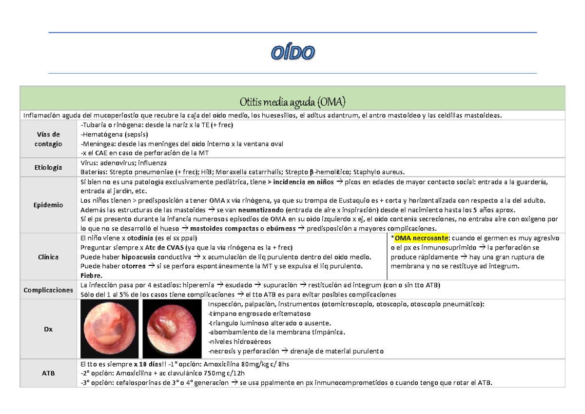 ORL resumen vero - Otitis media aguda (OMA) Inflamación aguda del mucoperiostio que recubre la ...