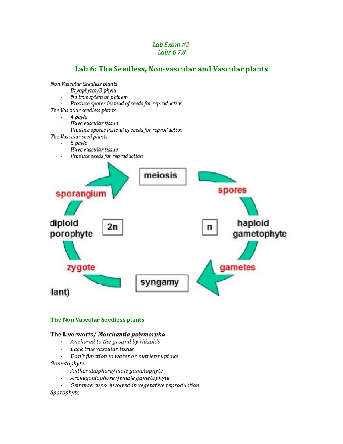 Tutorial Work - 7-12 - Lab Component - Lab Information, Definitions ...