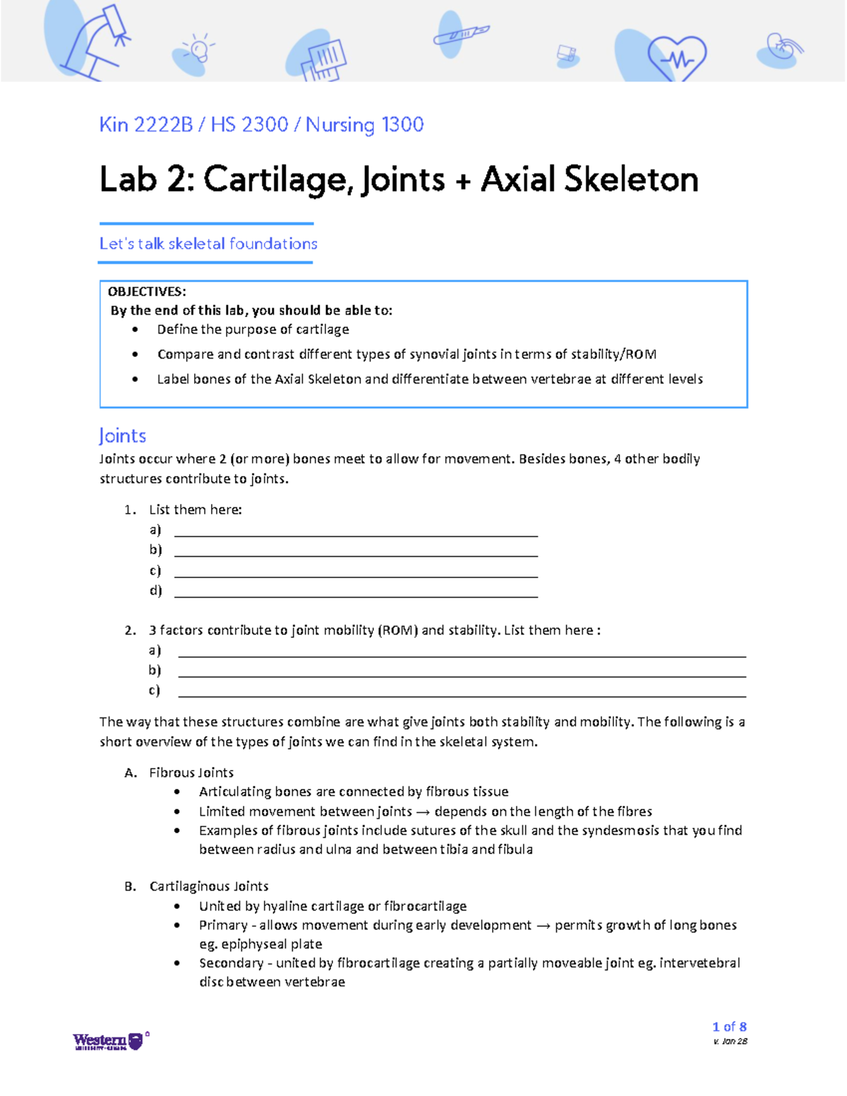 Lab 2 - Skeleton - 1 of 8 Kin 2222B / HS 2300 / Nursing 1300 Lab 2 ...