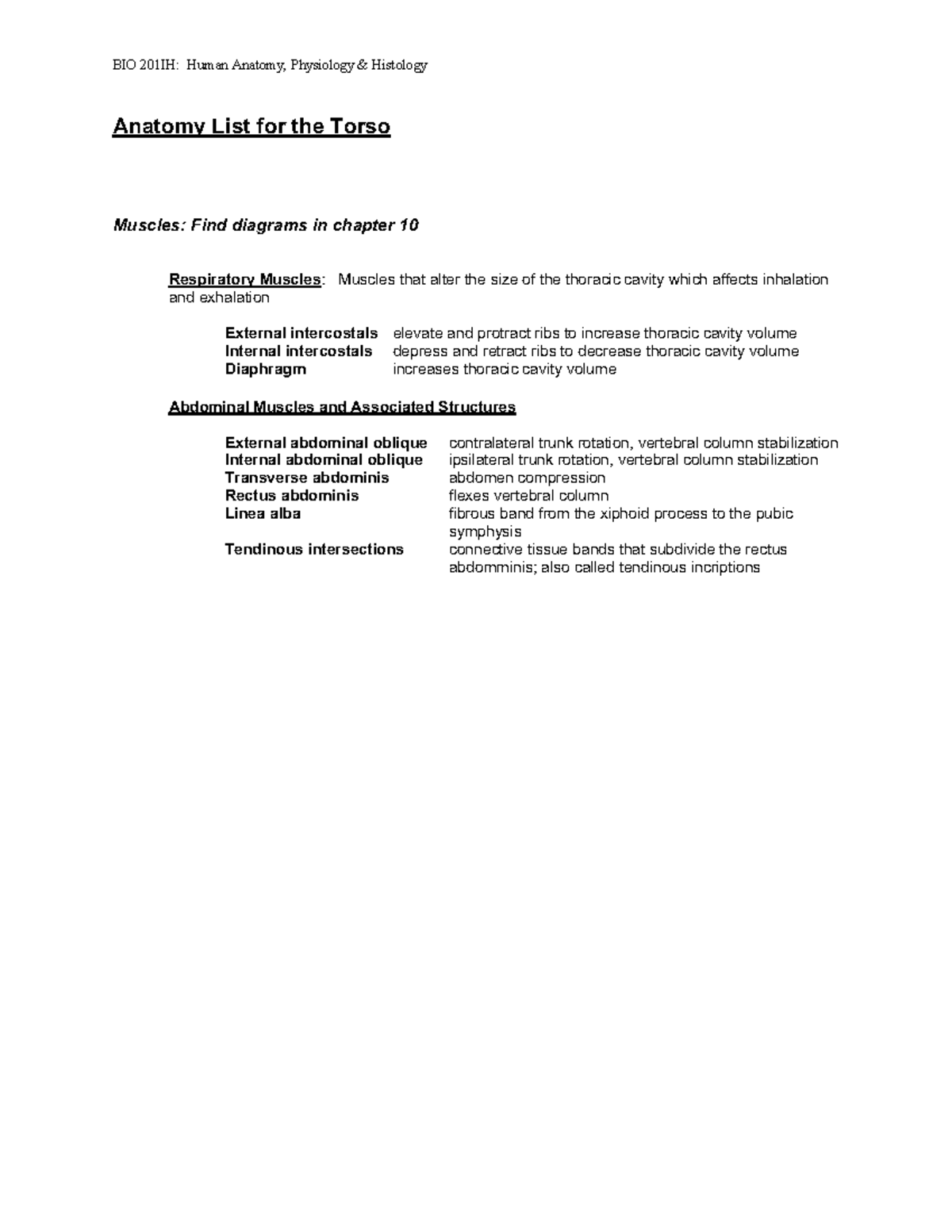 Muscles of the Torso - BIO 201IH: Human Anatomy, Physiology & Histology ...