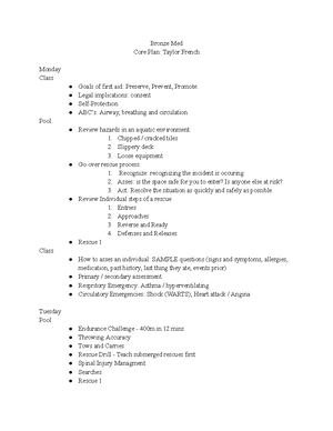 Bronze Star Lesson Plan - Studocu