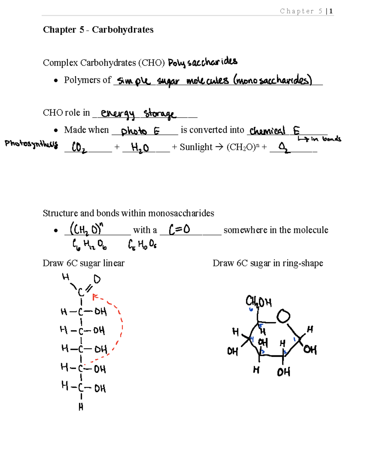 Chapter 5 Notes - Chapter 5 - Carbohydrates Complex Carbohydrates (CHO ...