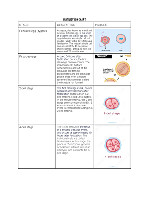 [Solved] What are three important factors to remember about assisting ...