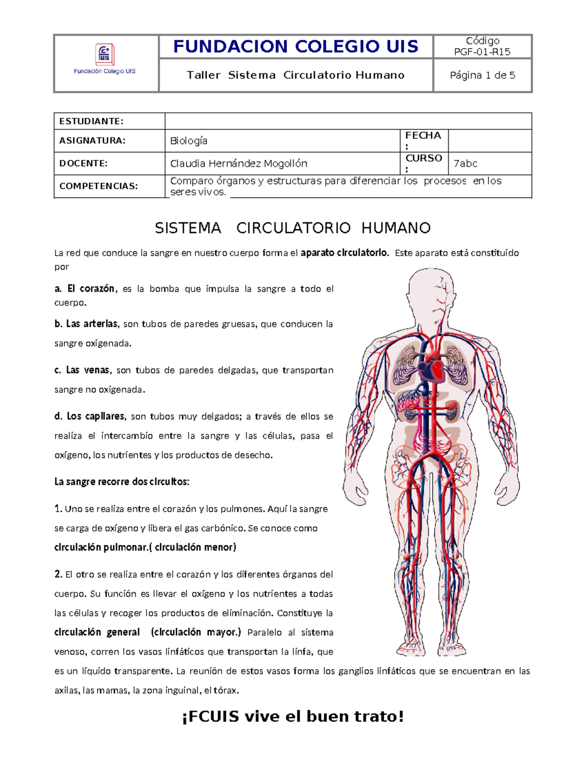 Taller sistema circulatorio humano - FUNDACION COLEGIO UIS PGF-01-R Taller Sistema Circulatorio ...