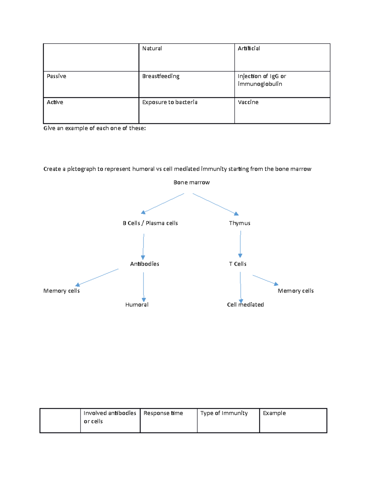 Immunology and HIV Worksheet Answers-2 - Natural Artificial Passive ...