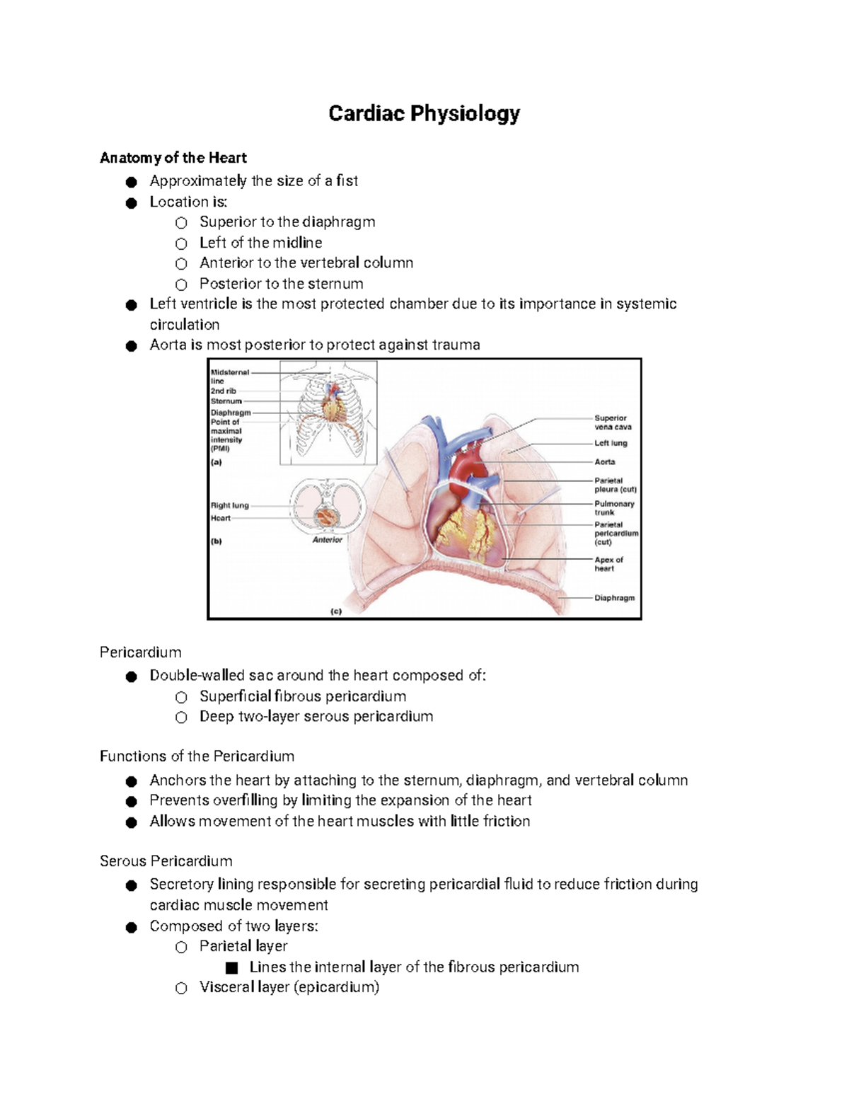 Clinical Pathophysiology - Cardiology - Cardiac Physiology Anatomy of ...