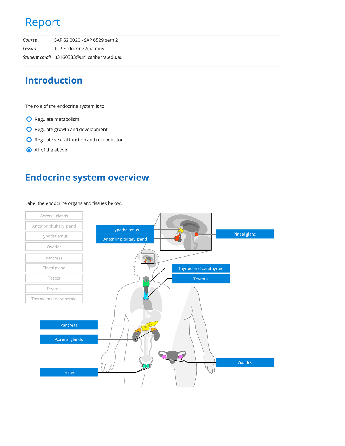 6529 Systemic Anatomy and Physiology UC Lab 2 - Endocrine Anatomy ...
