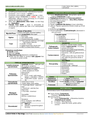 Information Age (Chapter 3 - Lesson 1) - The Information Age Science ...