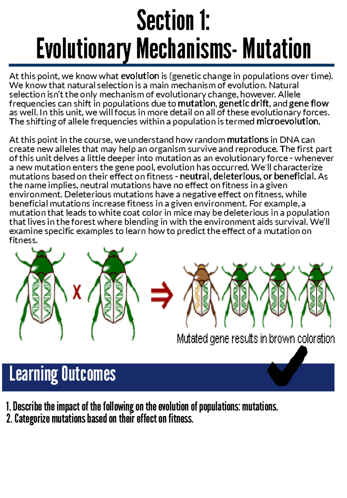 Unit 6 Section 1 updated - Section 1: Evolutionary Mechanisms- Mutation ...