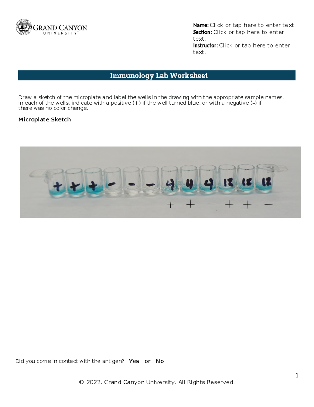Lab8Immunology WS - Section: Click or tap here to enter text ...