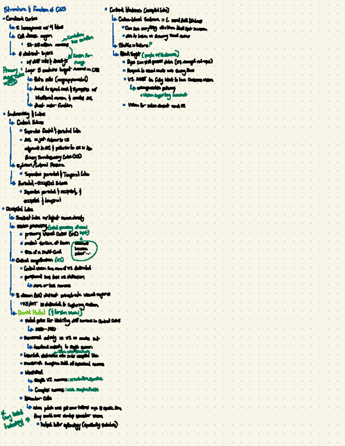 1080 - lecture notes for Kin 1080: Structure and function of the CNS ...