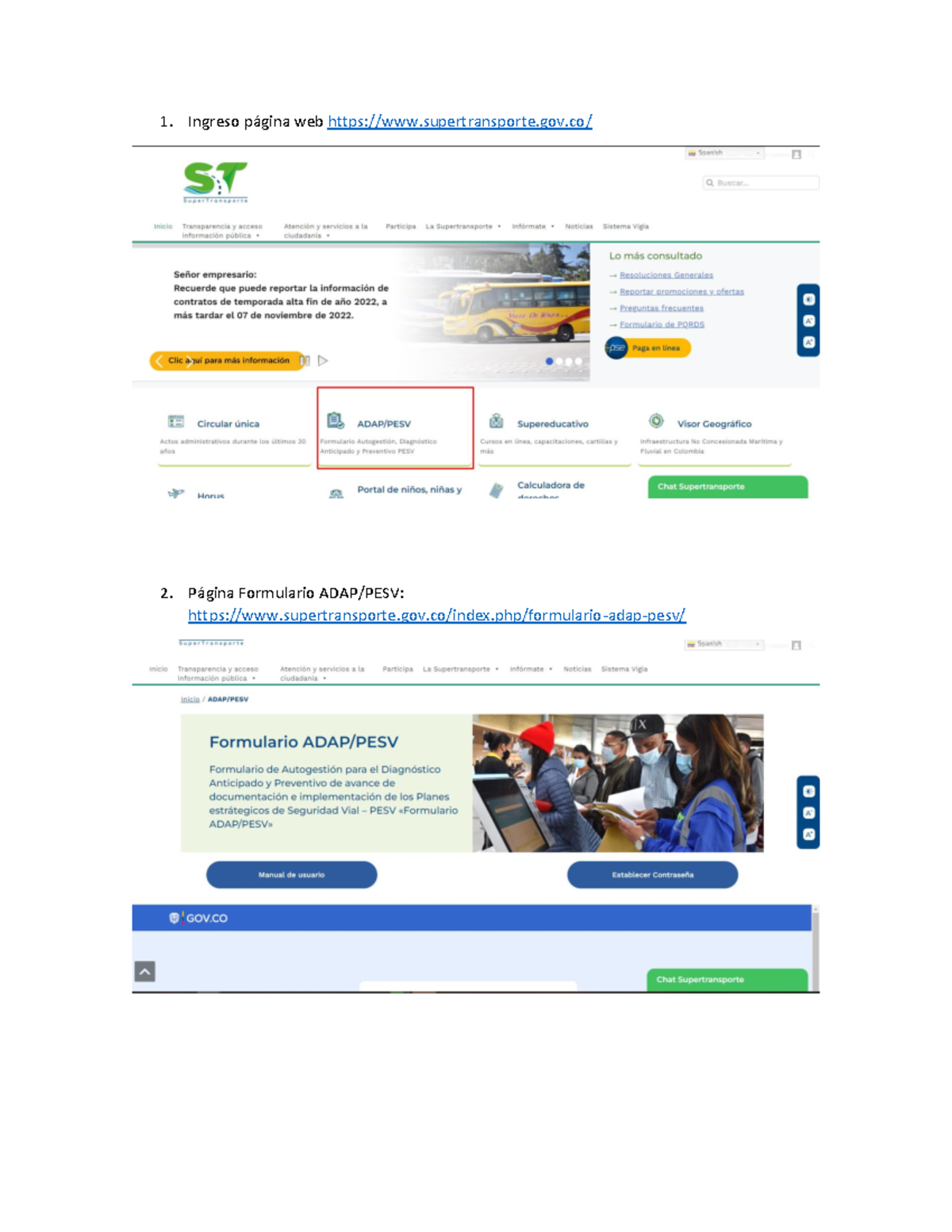 Manual Usuario.pdf pesv. - Ingreso página web supertransporte.gov ...