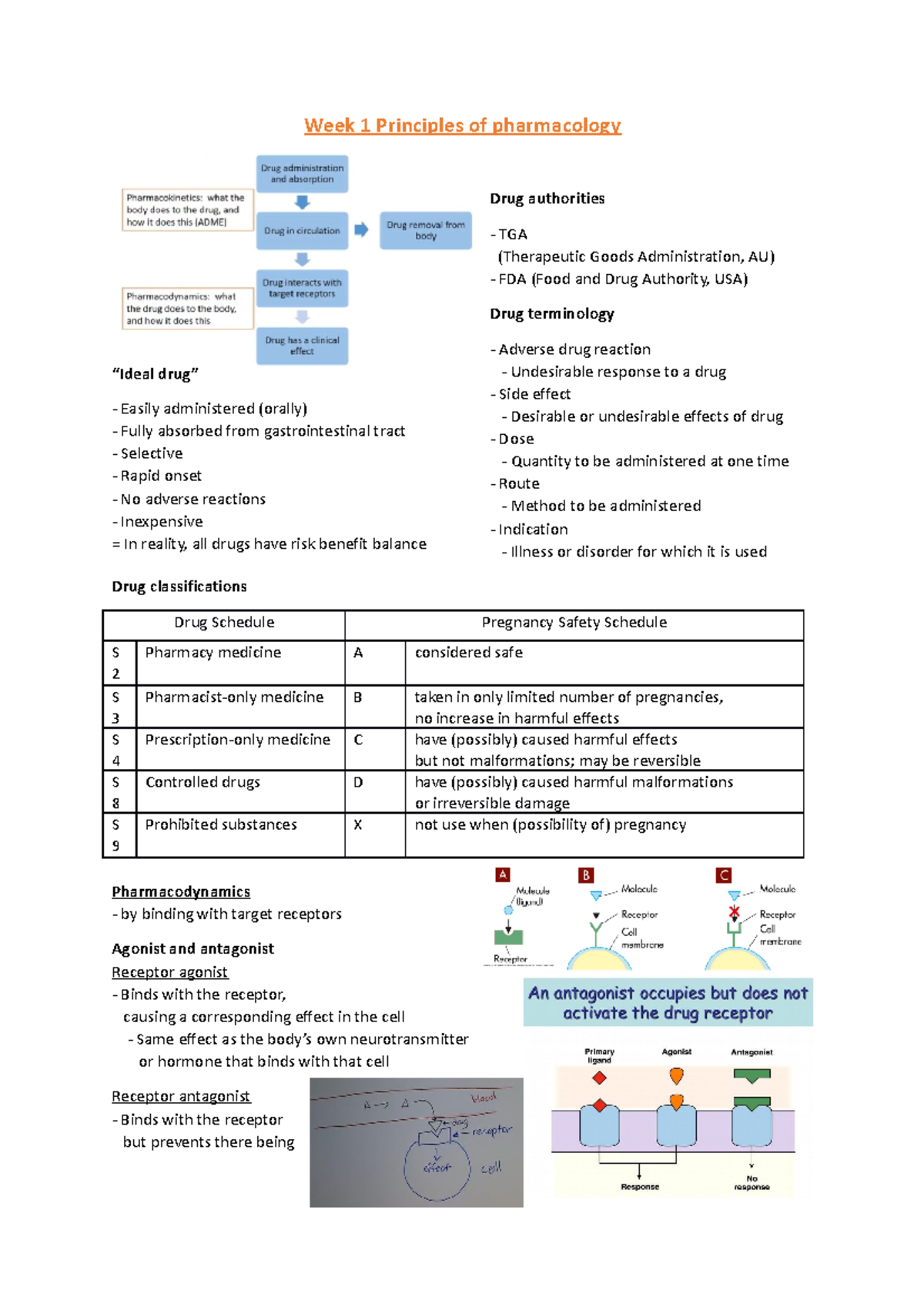 Week 1 Principles of pharmacology - Week 1 Principles of pharmacology ...