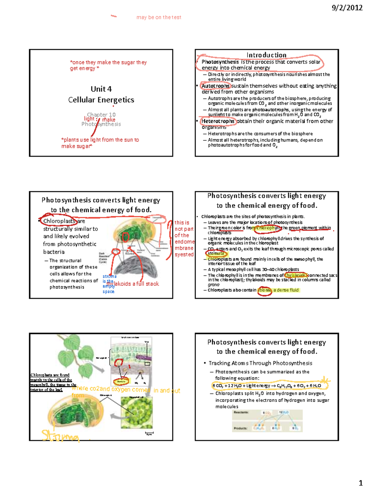 Chapter 10 Notes - Unit 4 Cellular Energetics Chapter 10 Photosynthesis ...