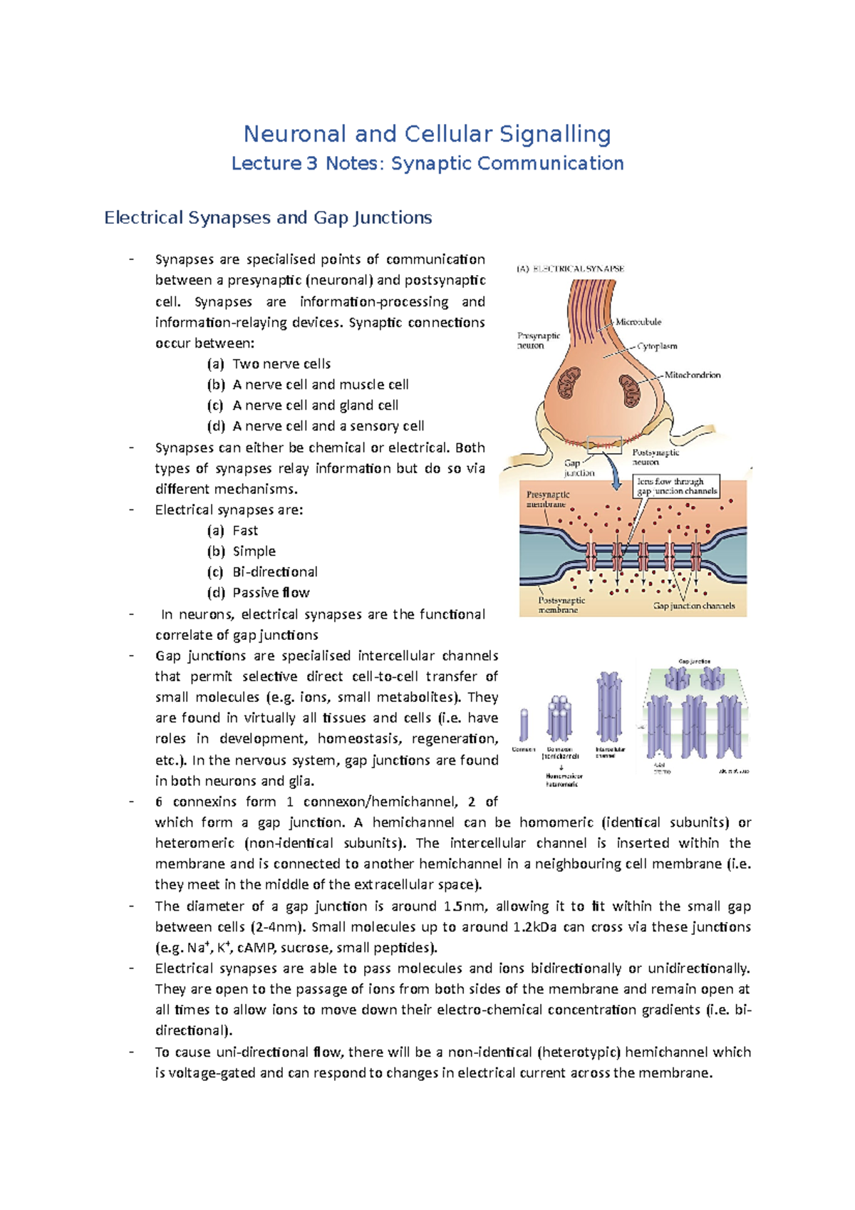 Lecture 3 Notes Synaptic Communication Neuronal And Cellular Signalling Lecture 3 Notes