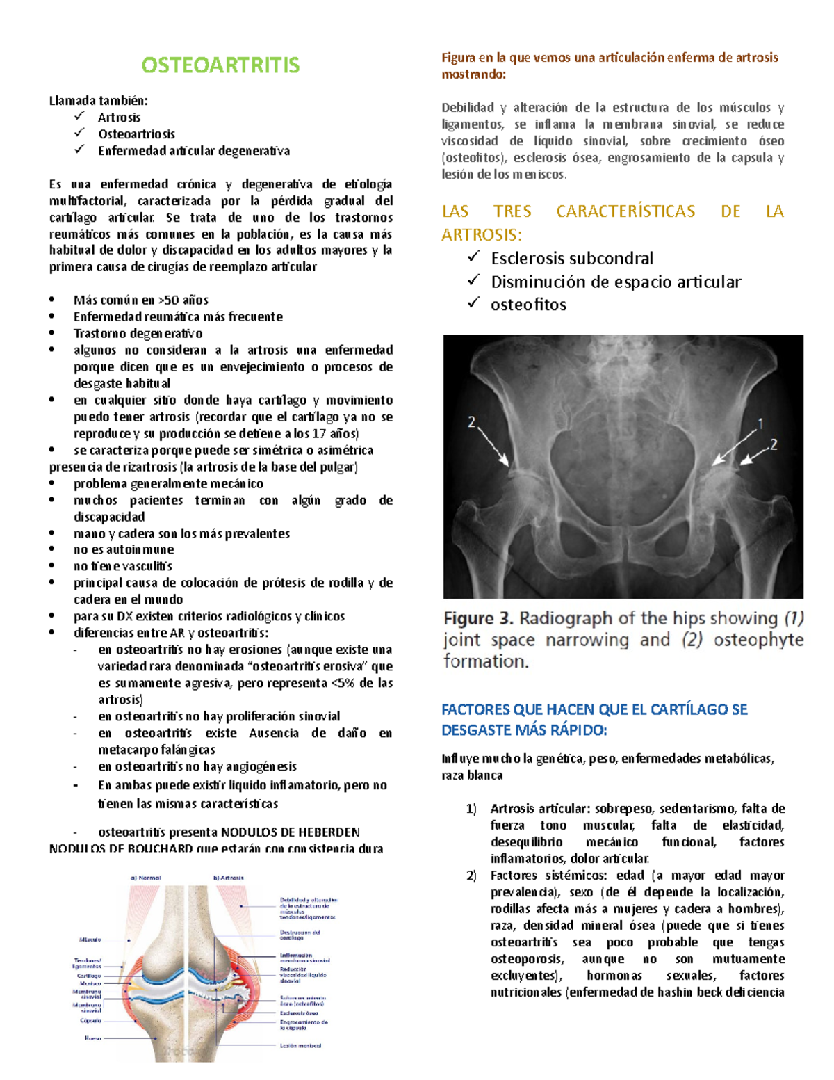 Osteoartrosis - Resumen de osteartrosis, sus implicaciones patológicas ...