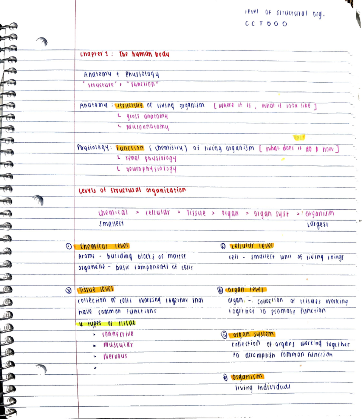 2023-03-15 15-31 - notes - evel OF Struunal org. CeTo0O0O Cnagrev id ...