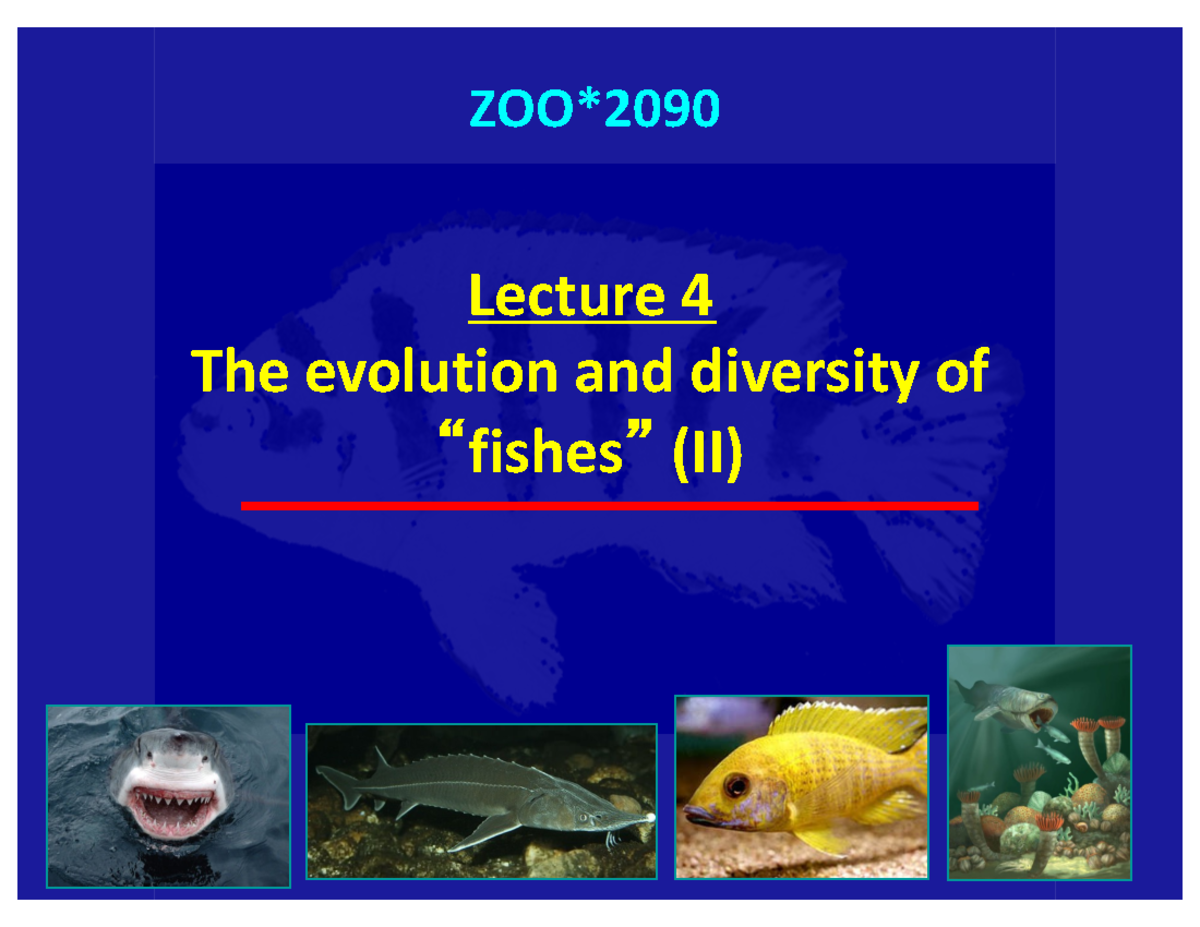 Lecture 4 Diversity of Fishes 2 - Lecture 4 The evolution and diversity of “fishes” (II) ZOO ...