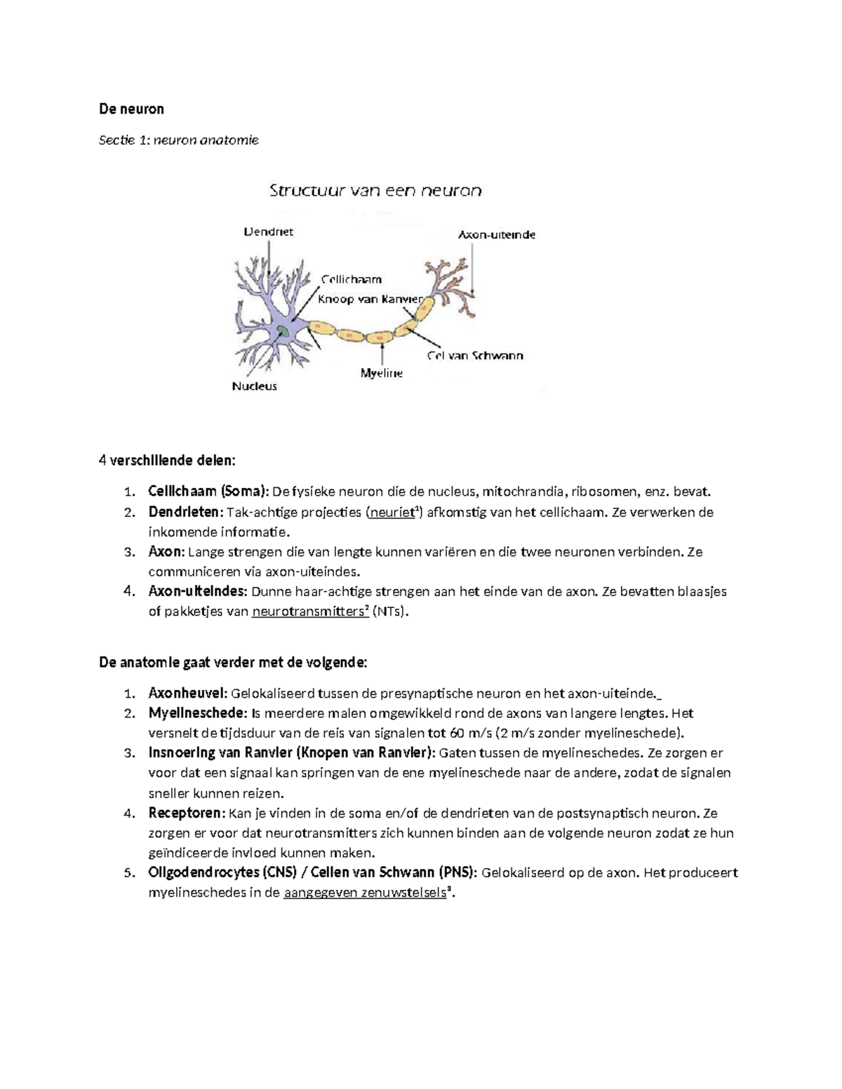 Neuron anatomie - De neuron Sectie 1: neuron anatomie 4 verschillende ...