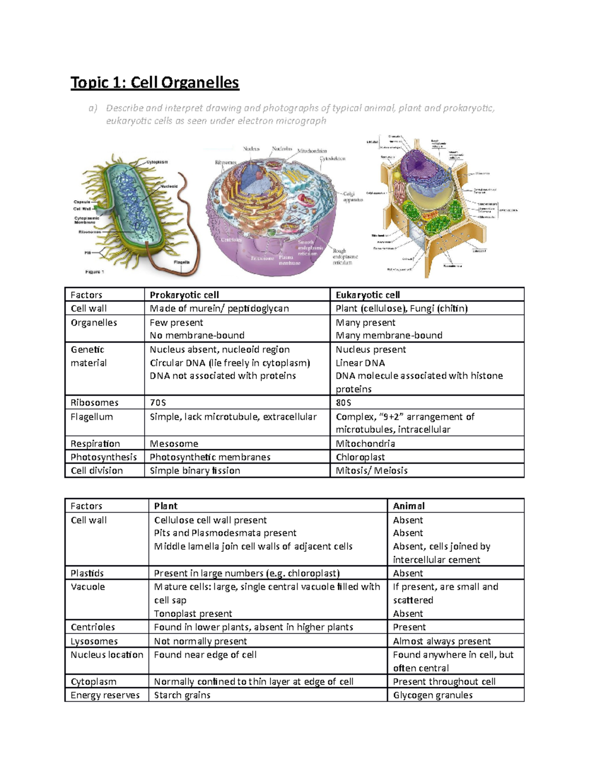 Biology Topic 1 (complete) - Topic 1: Cell Organelles a) Describe and ...