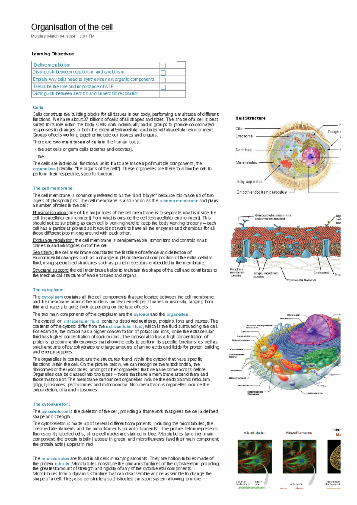 Anatomy and Physiology - Organisation of the cell - Organisation of the ...