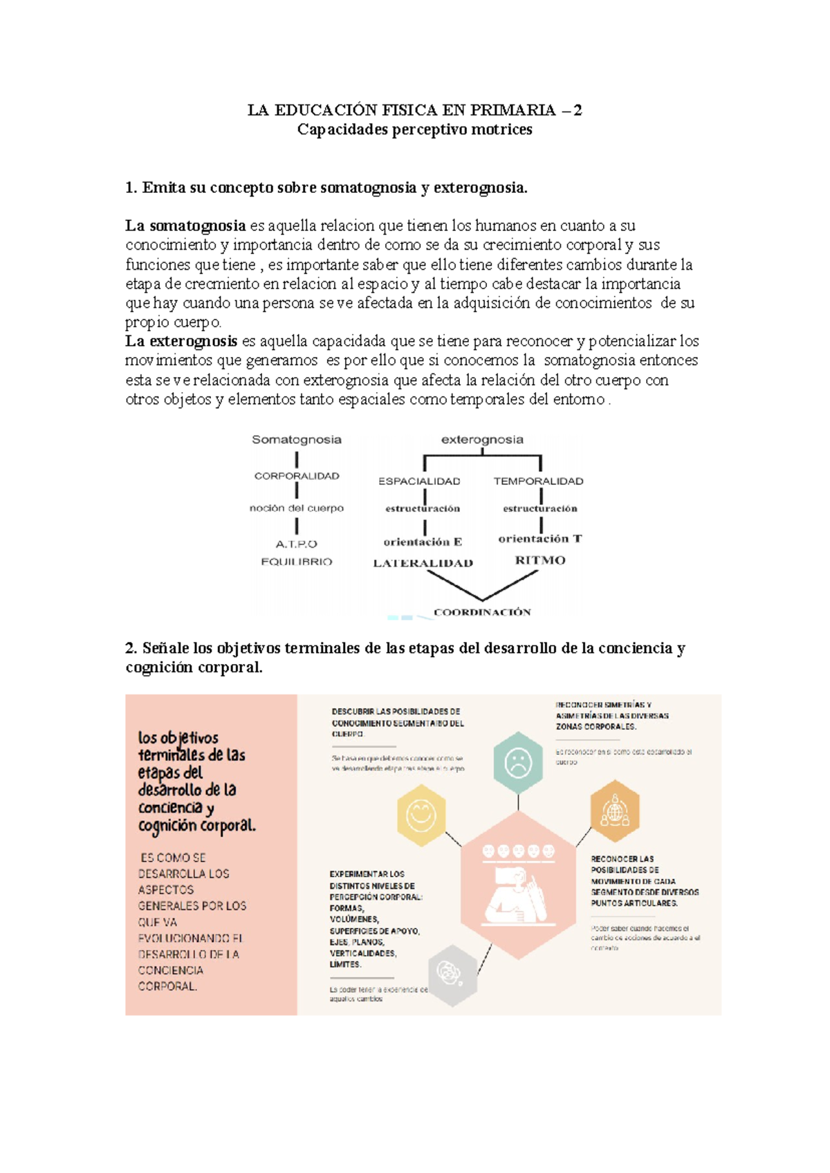 La educacion fisica en primaria con las Capacidades perceptivo motrices ...