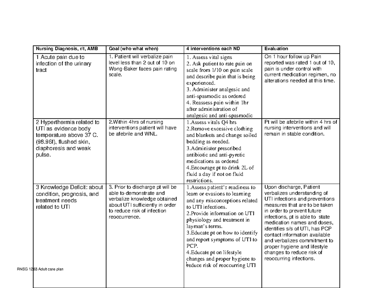 Clinical Care Plan UTI 1 RNSG 1263 Adult Care Plan Nursing Diagnosis