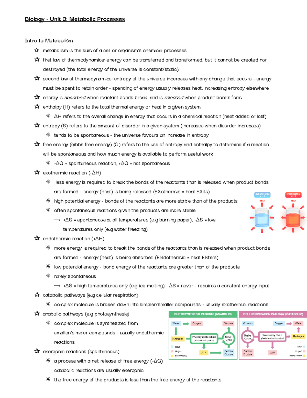 Metabolism notes - Thermodynamics, cellular respiration, and ...