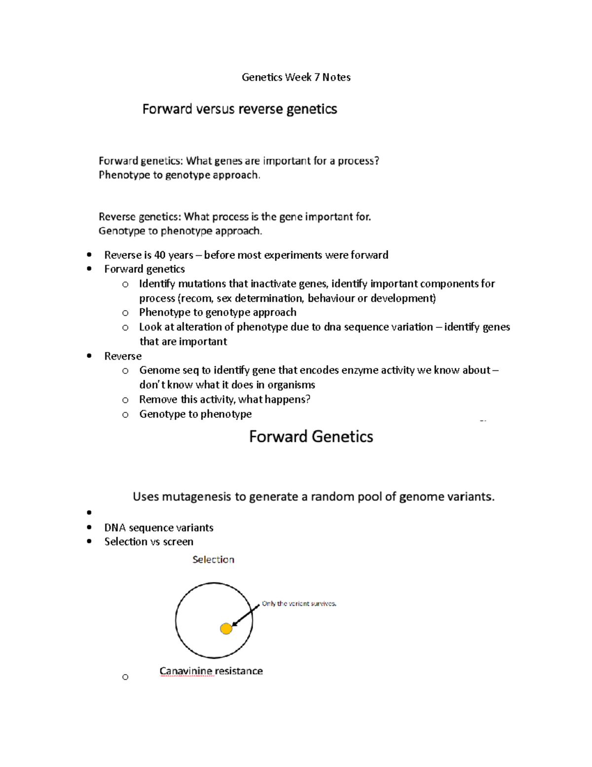 Genetics Week 7 Notes - Genetics Week 7 Notes Reverse is 40 years ...