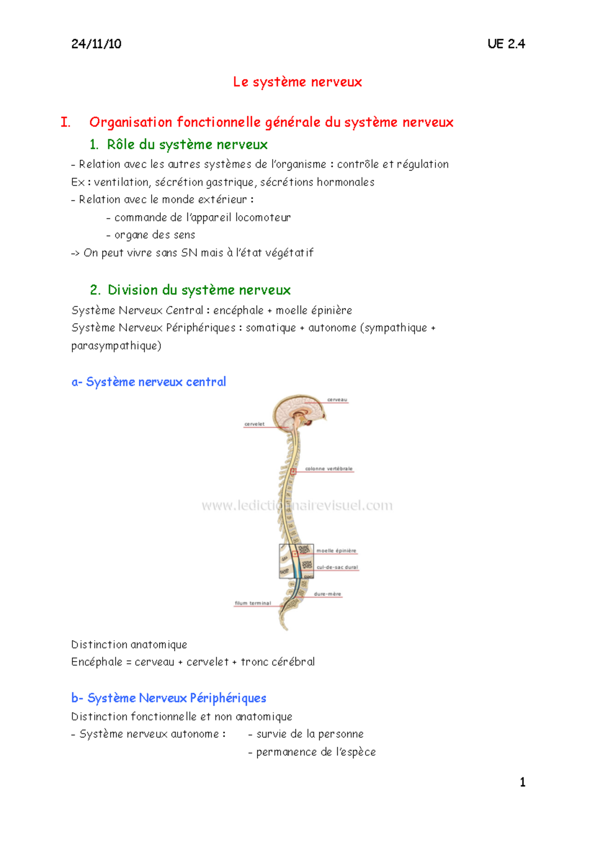 Le-syste 0300me-nerveux - Le système nerveux I. Organisation ...