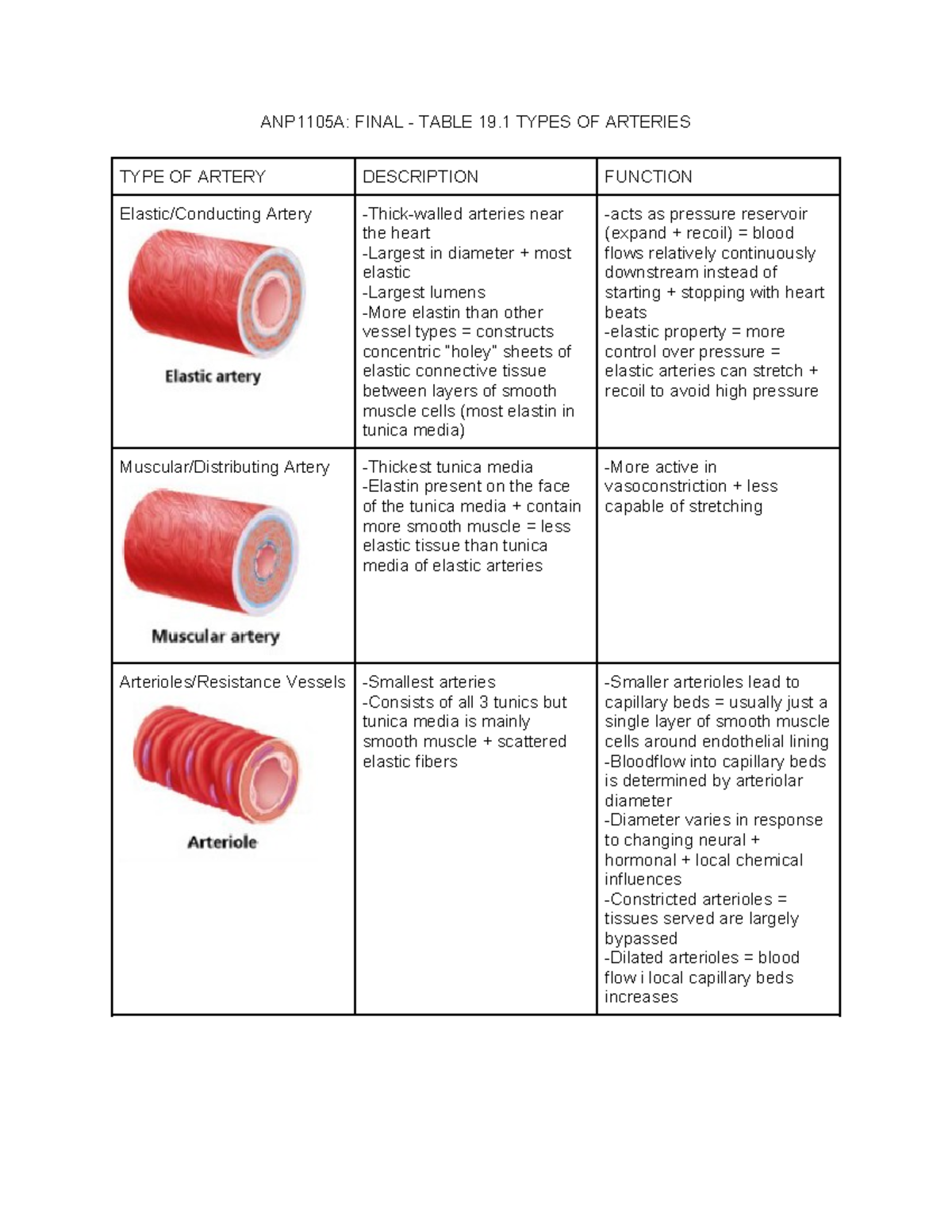 Table 19 - ANP1105A: FINAL - TABLE 19 TYPES OF ARTERIES TYPE OF ARTERY ...