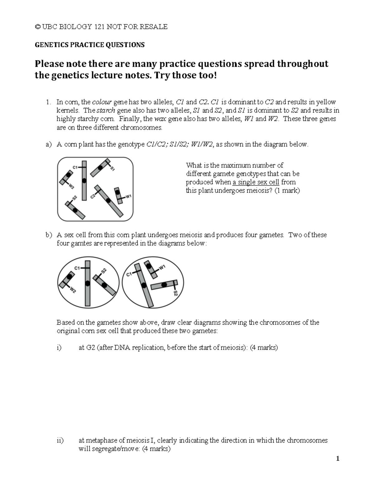 Even More Genetics Practice Questions - GENETICS PRACTICE QUESTIONS ...