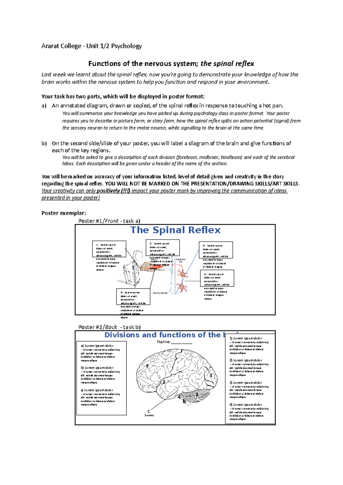 Assessment for regions of the brain and spinal reflex - Ararat College ...