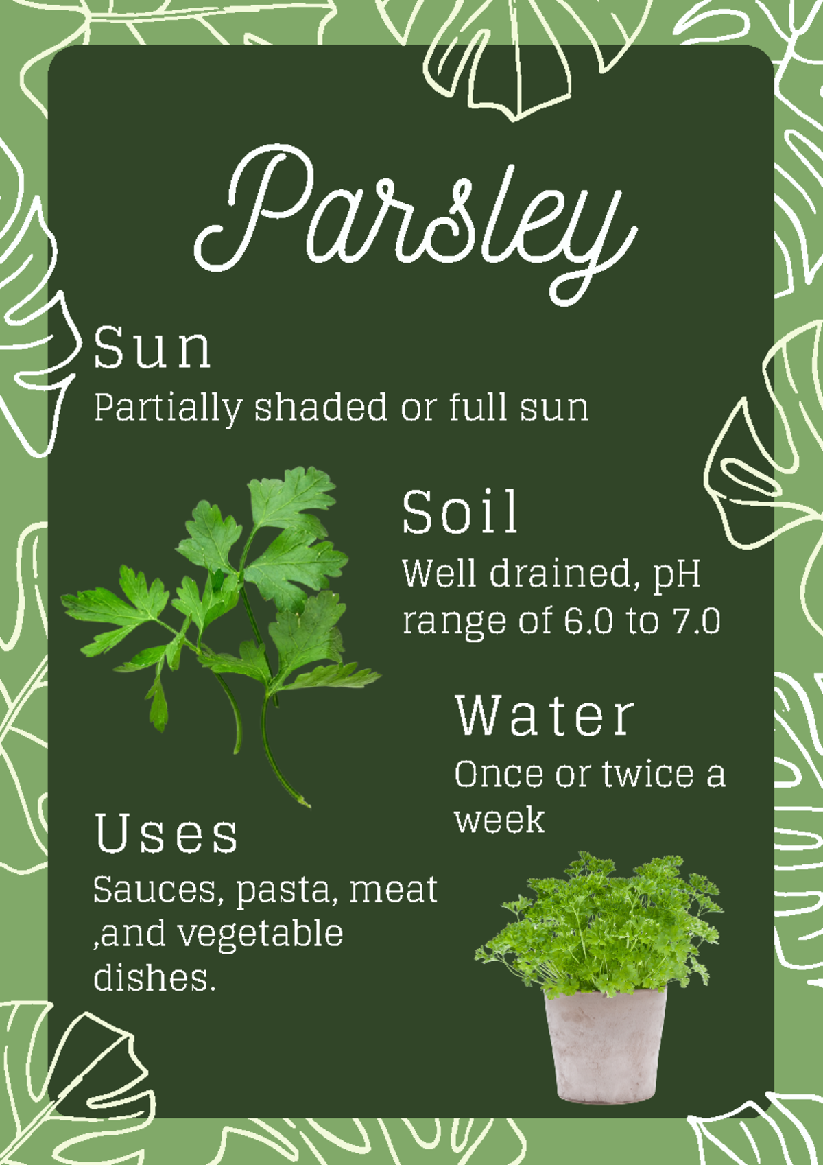 Plant Care Card - Parsley Sun Partially shaded or full sun Soil Well ...