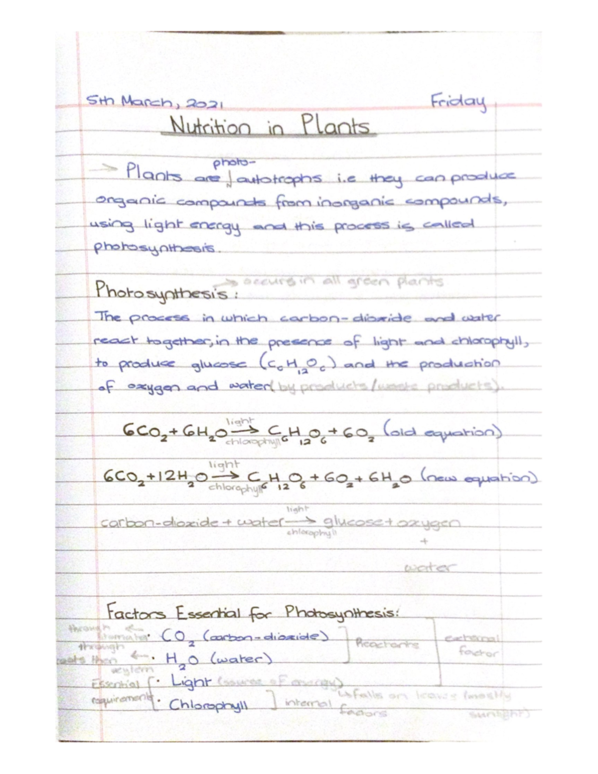 Nutrition in Plants Biology IGCSE 0610 CAIE - biology igcse - Studocu