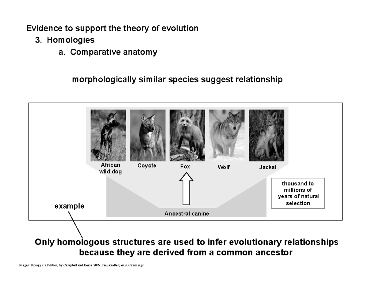 Lecture notes 15 - Evidence for Evolution (pt 2) - ####### Evidence to ...