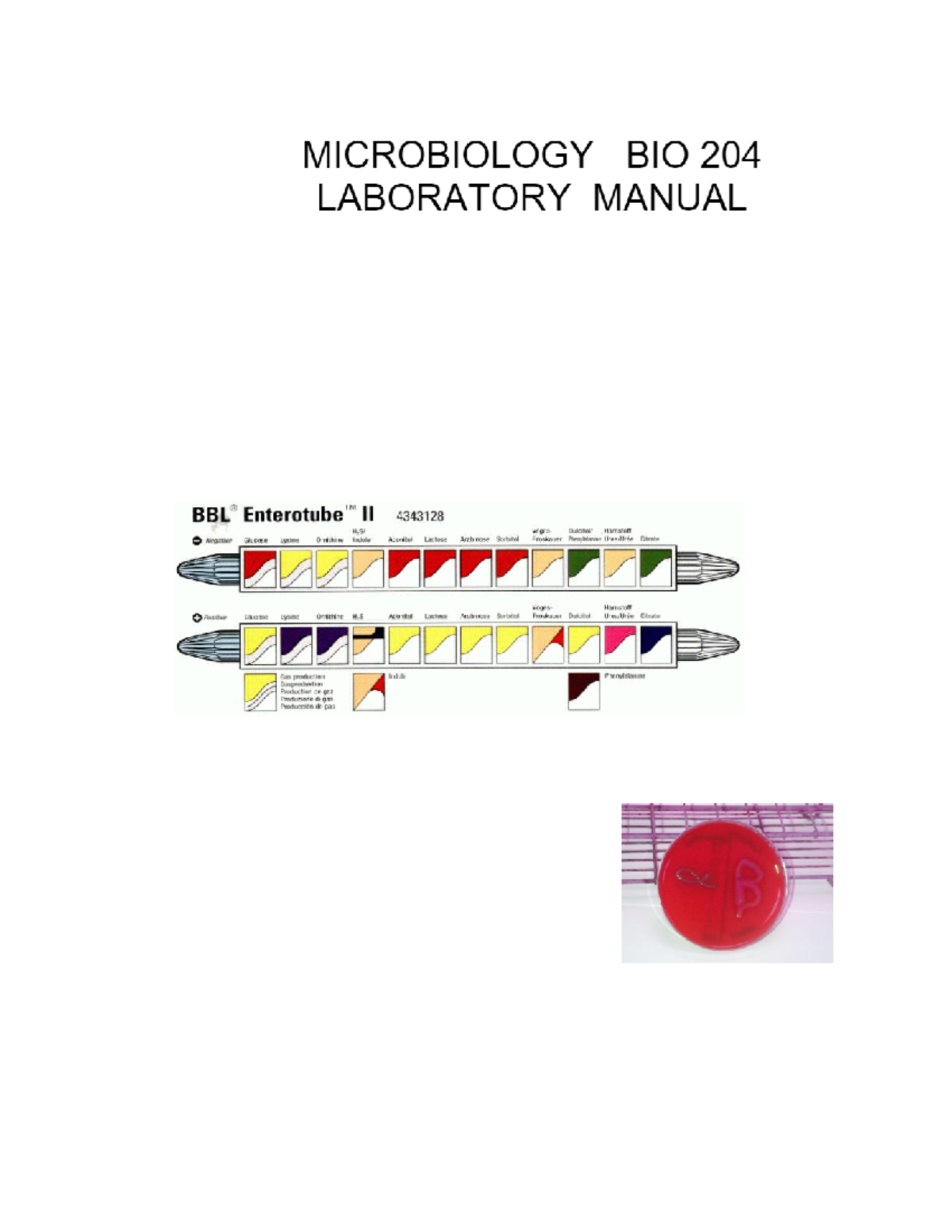 Microbiology bi2705 - Morgan Community College - BIO 216 - Studocu