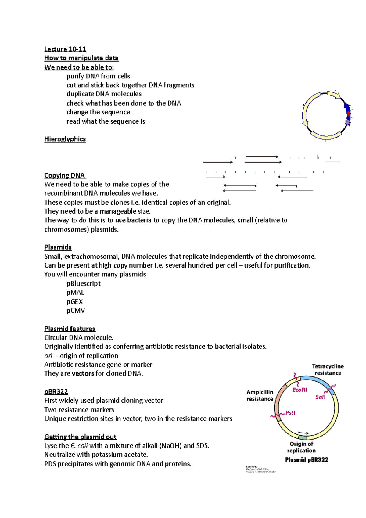 Lecture 10-11 - Lecture 10- How to manipulate data We need to be able ...