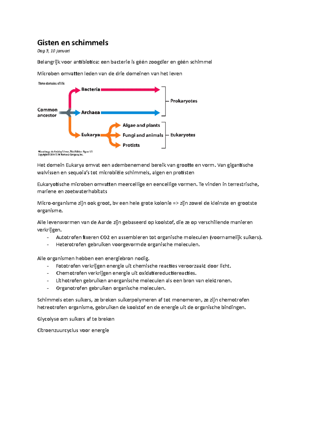 Gisten en schimmels - Samenvatting Microben en de Mens - Gisten en ...