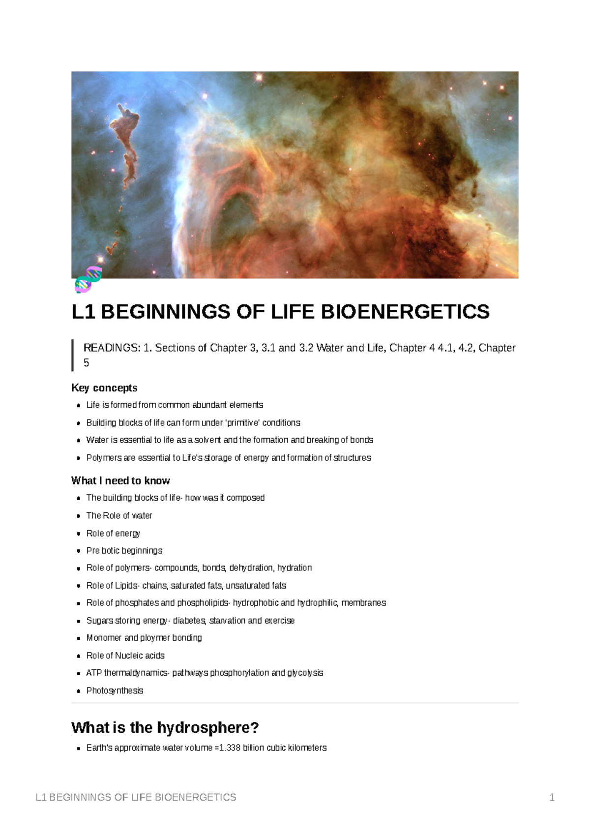 L1 Beginnings OF LIFE Bioenergetics - L1 BEGINNINGS OF LIFE ...