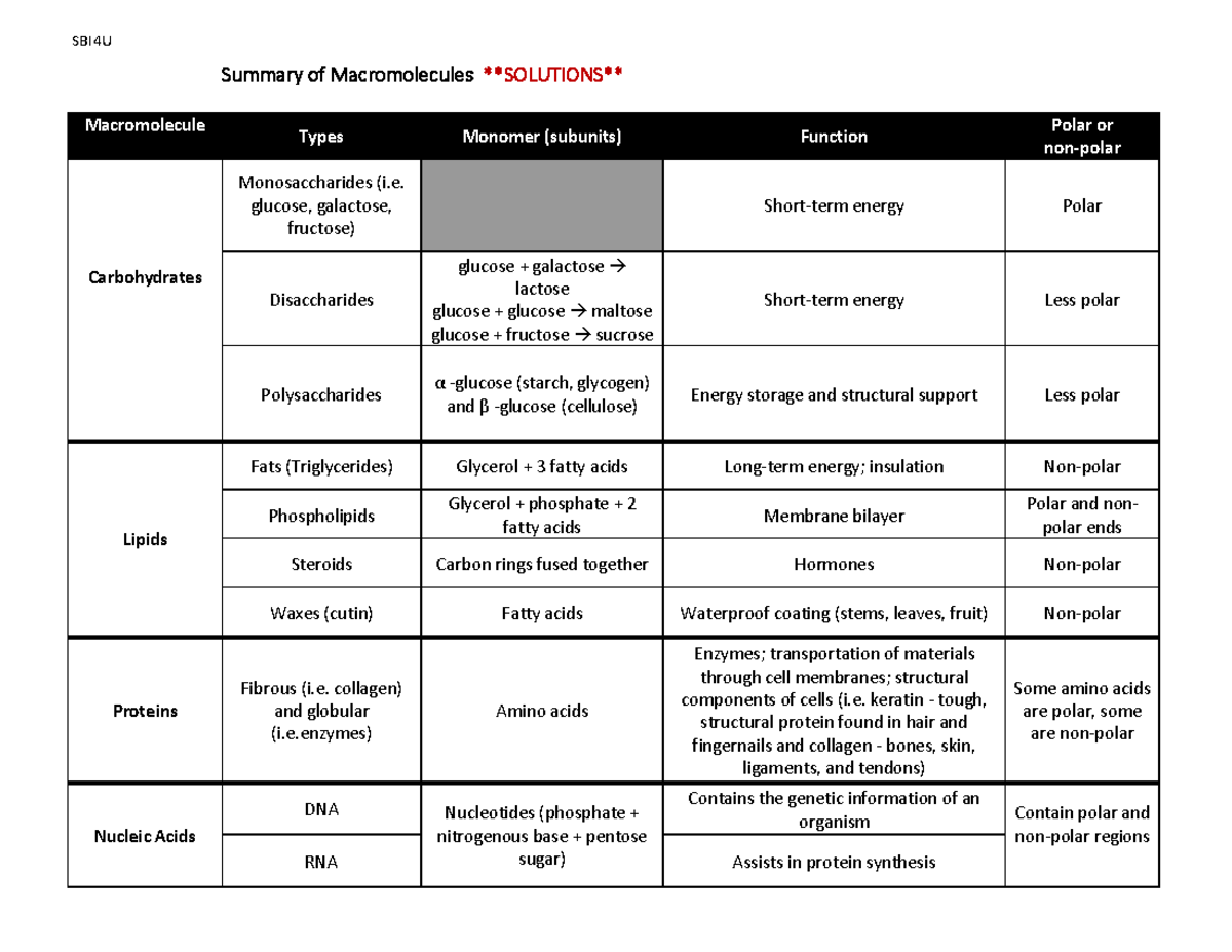Definitions - Macromolecule Brief Summary - Macromolecule Types Monomer ...
