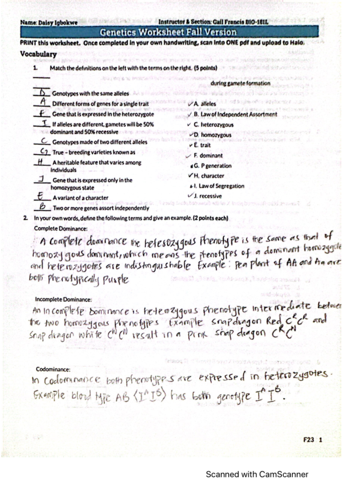 DIgbokwe genetics worksheet - BIO-181L - Studocu