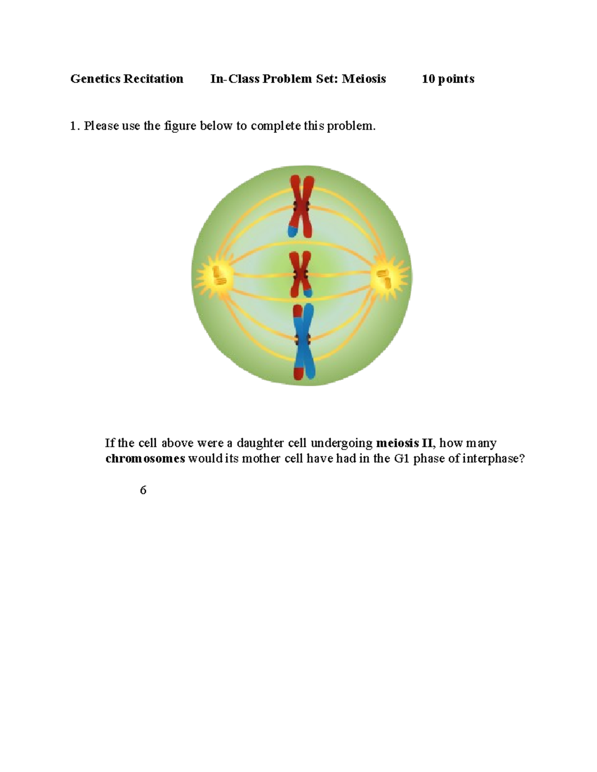 Inclass Meiosis Set - Lecture notes - Genetics Recitation In-Class ...