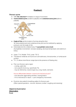 MSK revision (Ankle) - Summary Musculoskeletal Physiotherapy I - Ankle ...