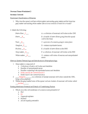9. Muscle Tissue Worksheet - Muscle Tissue Worksheet Muscles perform ...